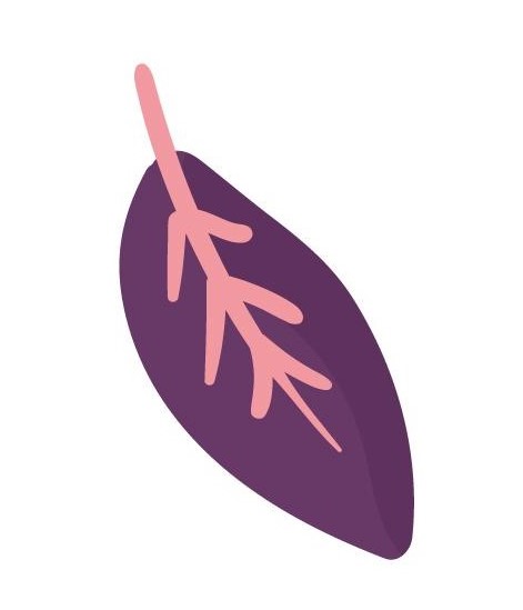 Mise en page – Correctrice de textes